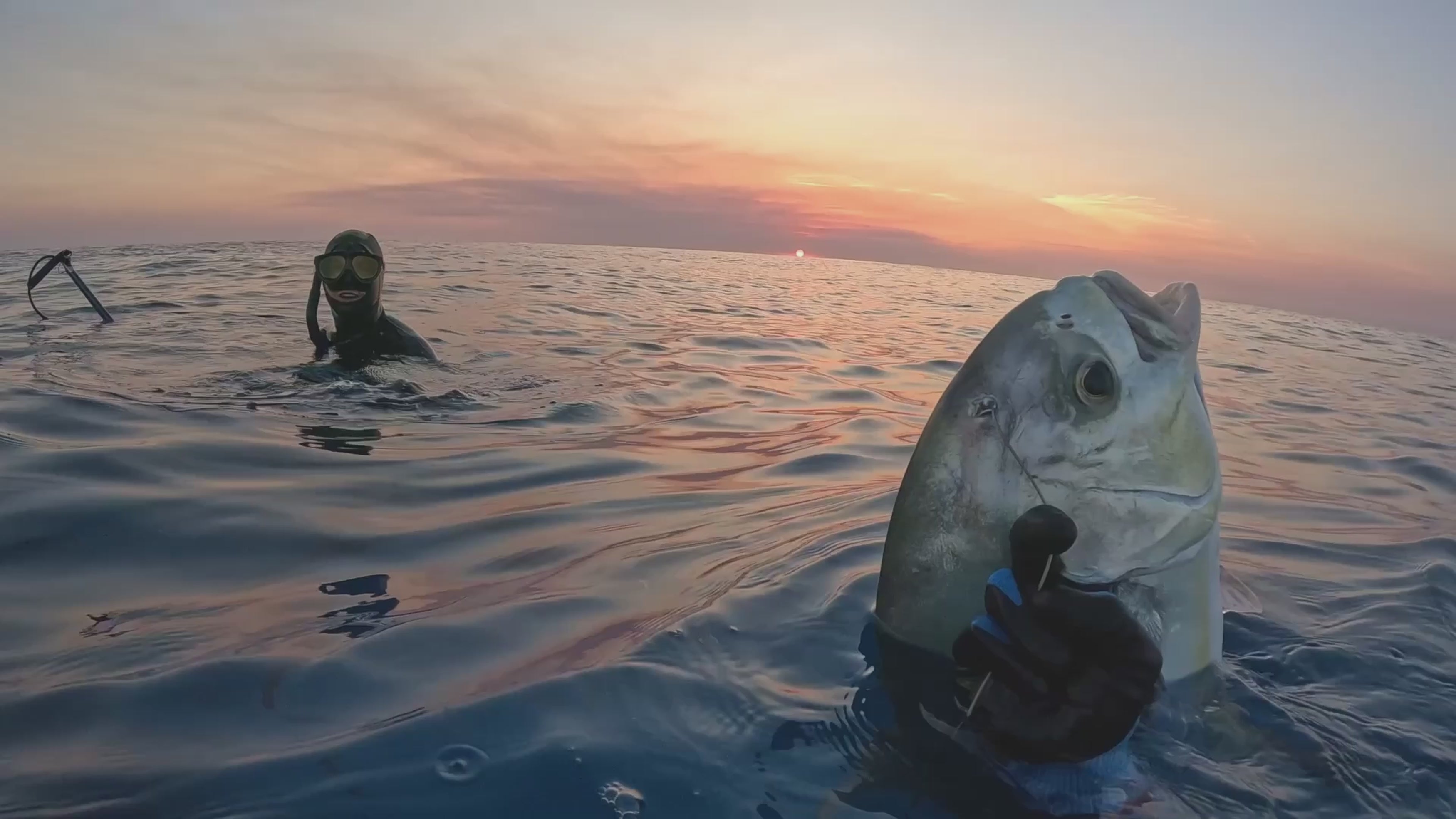 Pole Spears – Neritic Diving